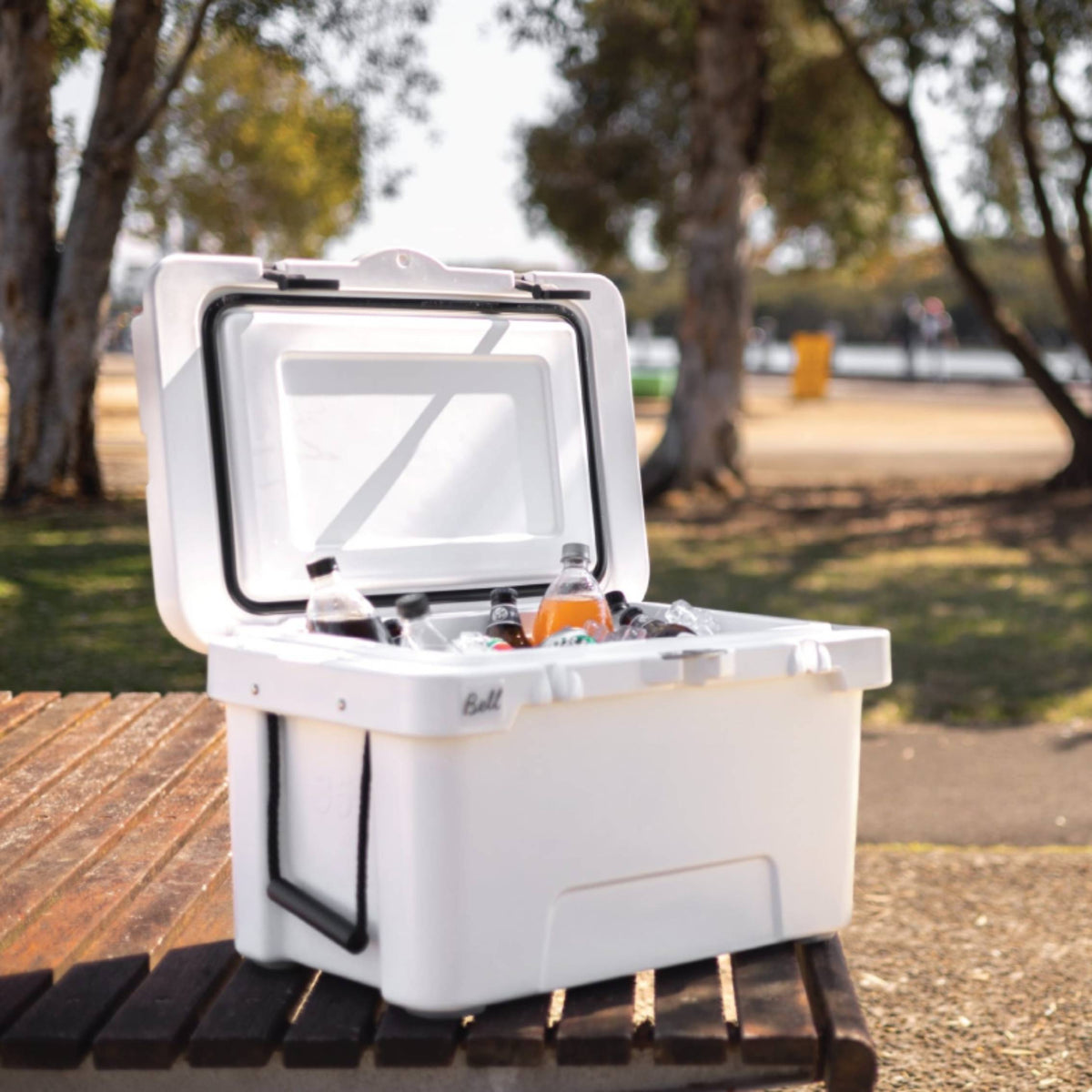 Coleman Ice Box & Coolers by JB Saeed Studio | Coleman Online Store ...